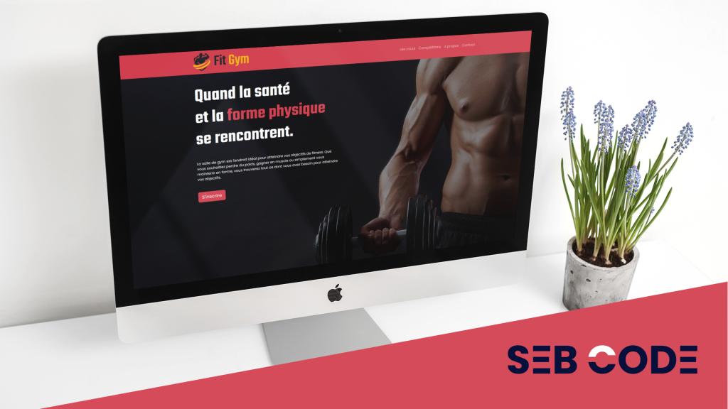 Projets web et cas pratiques de développement web